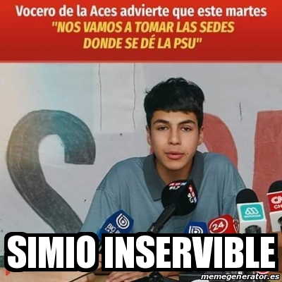 Meme Personalizado - SIMIO INSERVIBLE - 31235926
