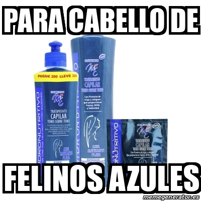 Meme Personalizado - Para cabello de Felinos azules - 31236434