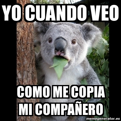 Meme Koala - Yo cuando veo como me copia mi compaÃ±ero - 31237829