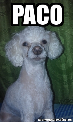 Meme Personalizado - Paco - 31239517