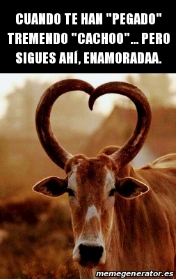 Meme Personalizado - Cuando te han "pegado" tremendo "cachoo"... Pero ...