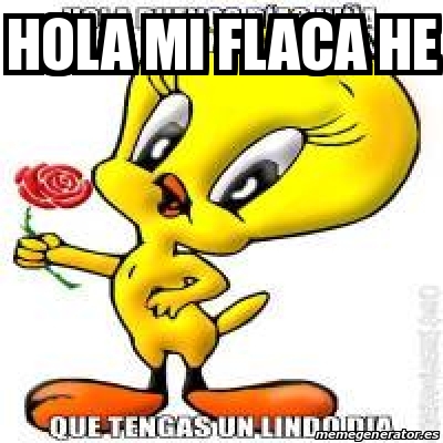 Meme Personalizado - hola mi flaca he - 31241610