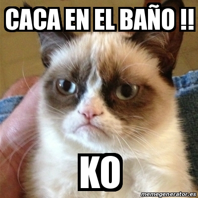 Meme Grumpy Cat - Caca en el baÃ±o !! Ko - 31242417