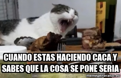 Meme Personalizado - Cuando estas haciendo caca y sabes que la cosa se ...
