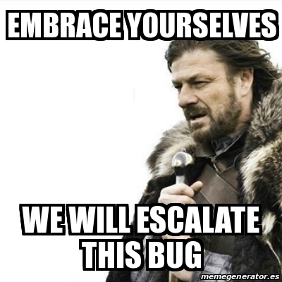 Meme Prepare Yourself - embrace yourselves we will escalate this bug ...