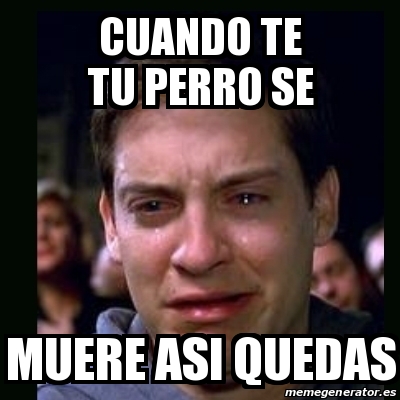 Meme crying peter parker - Cuando te tu perro se muere asi quedas ...