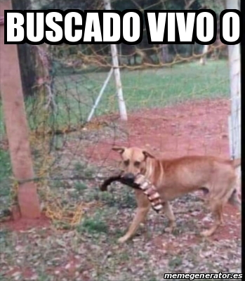 Meme Personalizado - buscado vivo o - 31251746