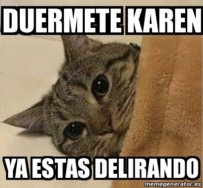 Meme Personalizado - Duermete Karen Ya estas delirando - 31252365