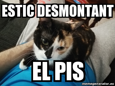 Meme Personalizado - Estic desmontant el pis - 31255044