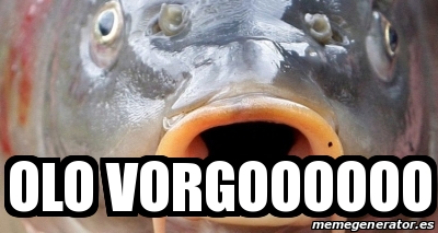 Meme Personalizado - Olo vorgoooooo - 31271346
