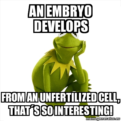 Meme Kermit the frog - An embryo develops from an unfertilized cell ...