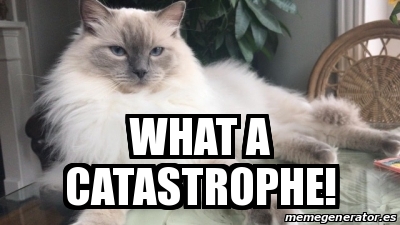 Meme Personalizado - What a CATastrophe! - 31275246