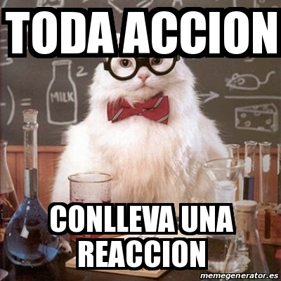 Meme Chemistry Cat - toda accion conlleva una reaccion - 31275916