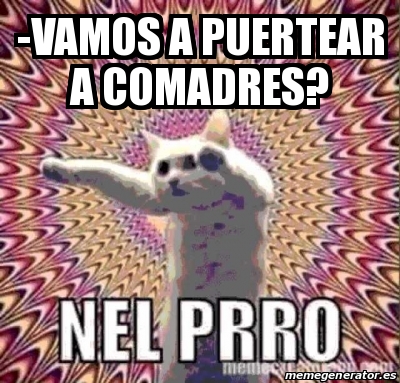 Meme Personalizado - -vamos a puertear a comadres? - 31276941