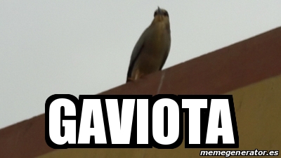 Meme Personalizado - Gaviota - 31279840