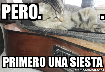 Meme Personalizado - Pero. . Primero una siesta - 31279994