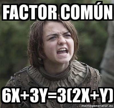 Meme Personalizado - factor comÃºn 6X+3Y=3(2X+Y) - 31286625