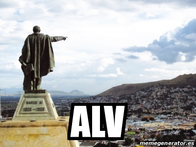 Meme Personalizado - ALV - 31287091