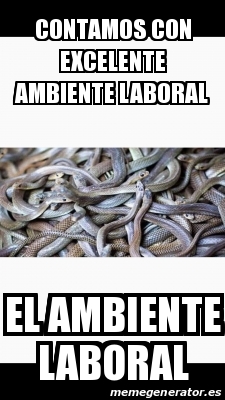 Meme Personalizado - Contamos con excelente ambiente laboral El ...