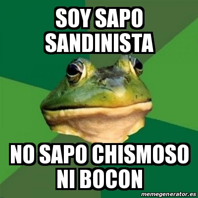 Meme Foul Bachelor Frog - Soy Sapo Sandinista No Sapo Chismoso Ni Bocon ...