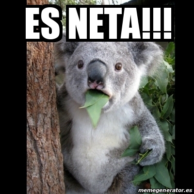 Meme Koala - es neta!!! - 31292738
