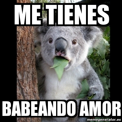 Meme Koala - Me tienes Babeando amor - 31295455