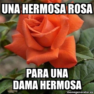 Meme Personalizado - UNA HERMOSA ROSA PARA UNA DAMA HERMOSA - 31298334
