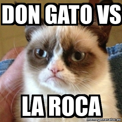 Meme Grumpy Cat - Don gato vs La roca - 31299729