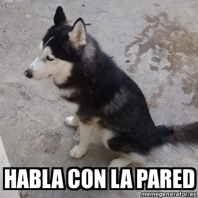 Meme Personalizado - Habla con la pared - 31038642