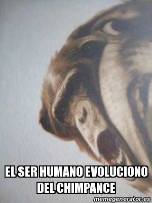 Meme Personalizado - el ser humano evoluciono del chimpance - 31302378