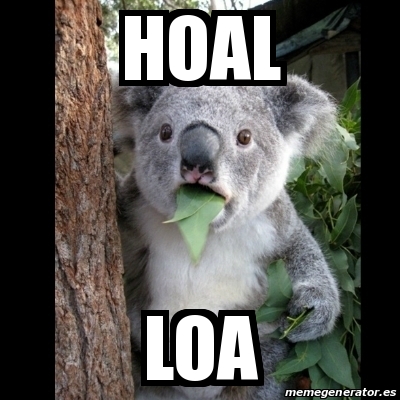 Meme Koala - Hoal Loa - 31311444