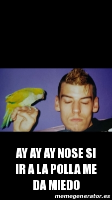 Meme Personalizado - Ay ay ay nose si ir a la polla me da miedo - 31311978