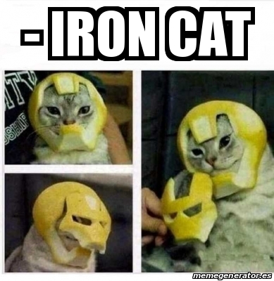 Meme Personalizado - - IRON CAT - 31312358