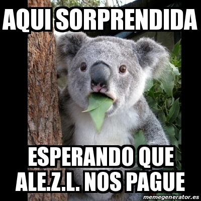 Meme Koala - Aqui sorprendida Esperando que Ale.Z.L. nos pague - 31322868
