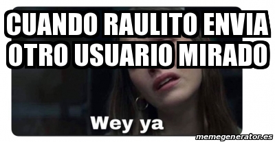 Meme Personalizado - CUANDO RAULITO ENVIA OTRO USUARIO MIRADO - 31327047