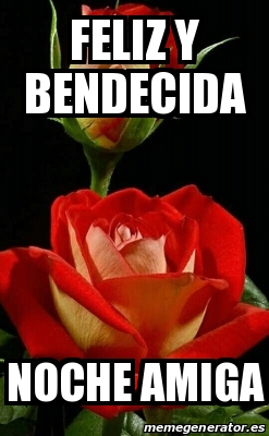 Meme Personalizado - Feliz y Bendecida Noche Amiga - 31330008