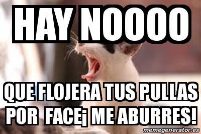 Meme Personalizado - hay noooo que flojera tus pullas por faceÂ¡ me ...