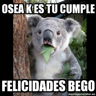 Meme Koala - Osea k es tu cumple Felicidades Bego - 31351116