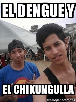 Meme Personalizado - El dengue y el chikungulla - 31355497