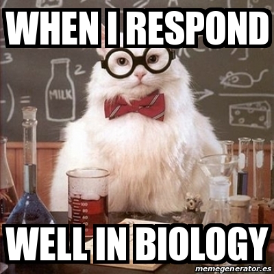 Meme Chemistry Cat - when i respond well in biology - 31362572