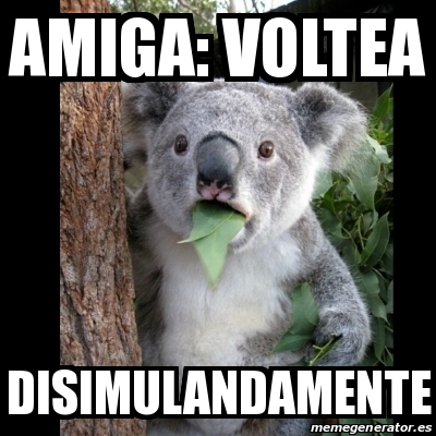 Meme Koala - Amiga: Voltea Disimulandamente - 31365997
