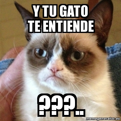 Meme Grumpy Cat - y tu gato te entiende ???.. - 31367137