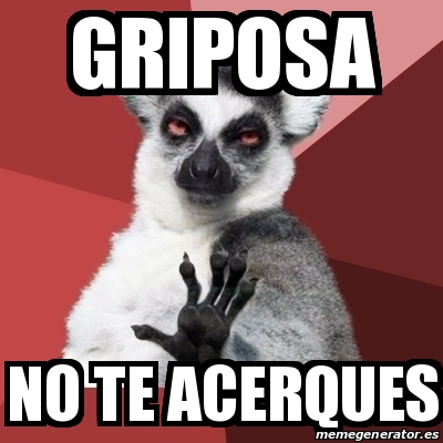 Meme Chill Out Lemur - griposa No te acerques - 31370539