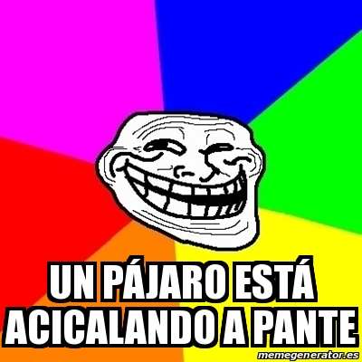 Meme Troll - Un pÃ¡jaro estÃ¡ acicalando a pante - 31373493