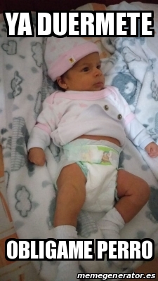 Meme Personalizado - Ya duermete Obligame perro - 31374403