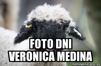 Meme Personalizado - foto dni veronica medina - 31375249