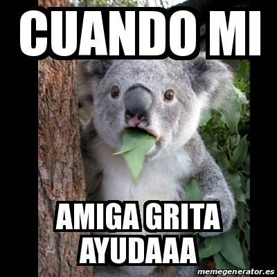 Meme Koala - cuando mi amiga grita ayudaaa - 31375432