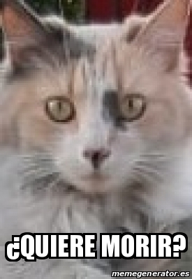 Meme Personalizado - Â¿Quiere morir? - 31376473