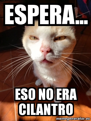 Meme Personalizado - ESPERA... ESO NO ERA CILANTRO - 31376501