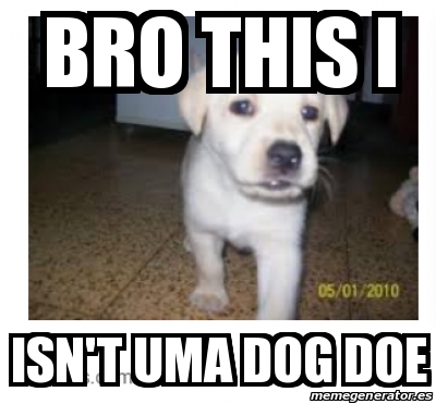 Meme Personalizado - bro this i isn't uma dog doe - 31379542